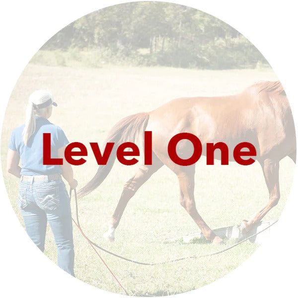 Parelli Natural Horsemanship Canada