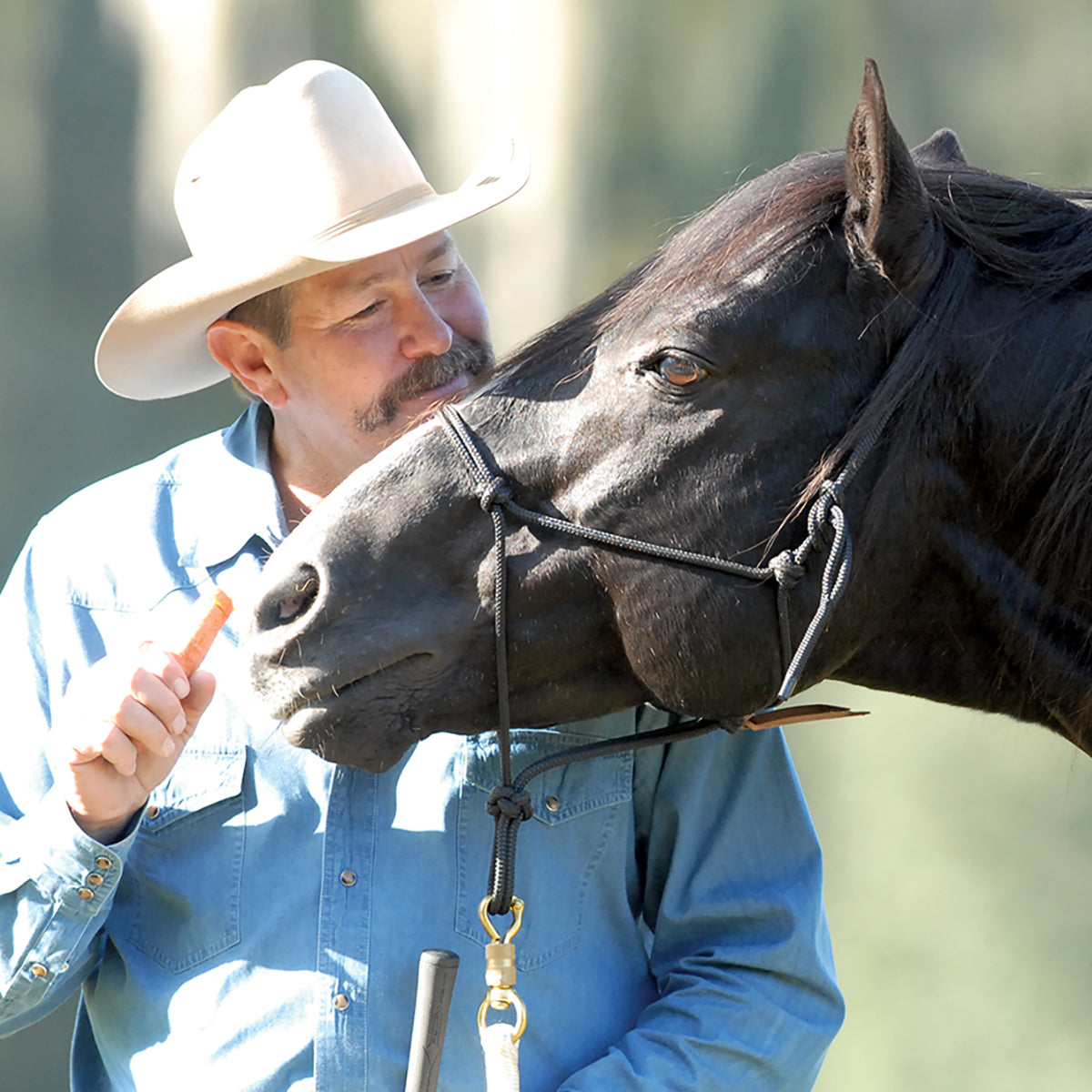 Parelli Natural Horsemanship Products